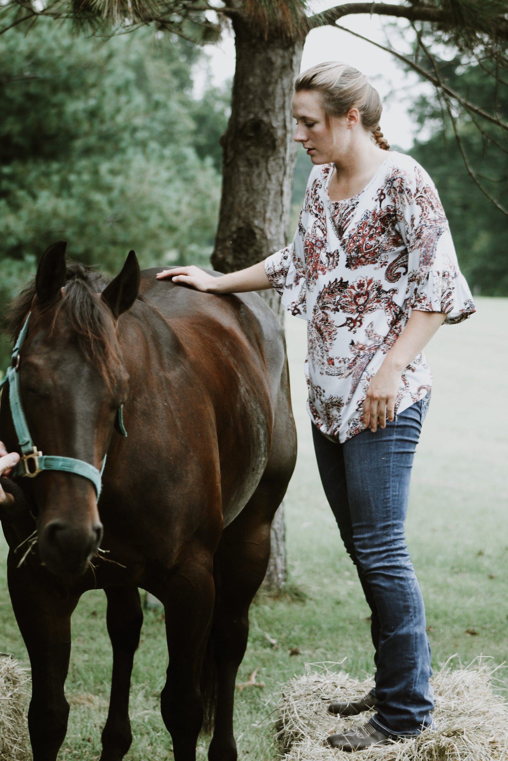 Optimal Equine Massage Therapy, LLC - "Helping Animals reach their ...